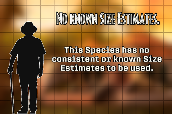 Coastal Velociraptor