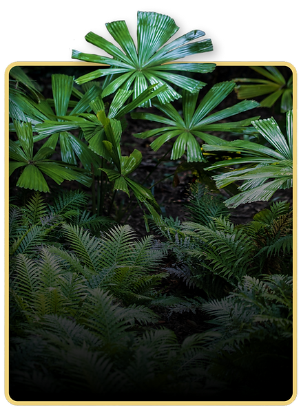 Jurassic Field Guide