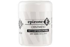 Epizone E Ointment 400ml Tub | The South African Pl