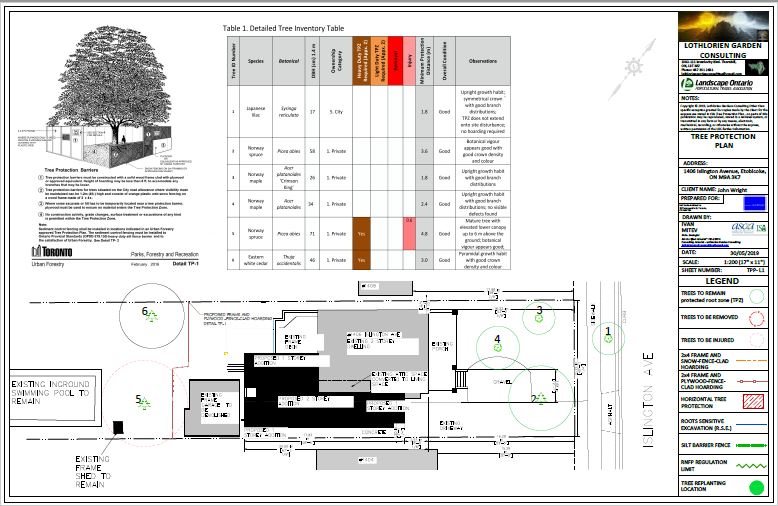 Tree Protection Plans and 3D images | landscape-designer