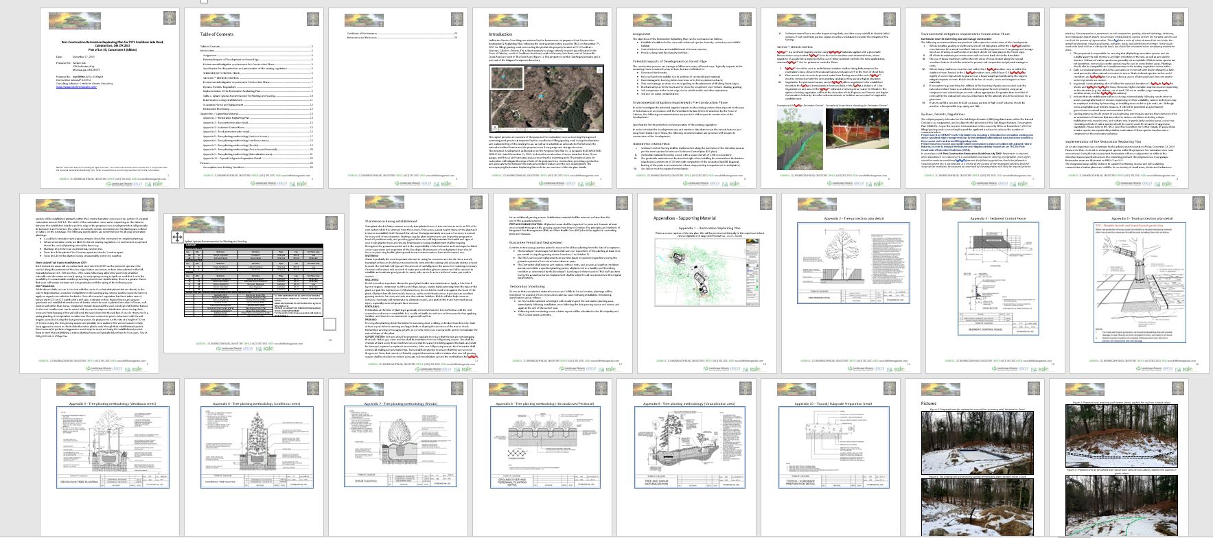 Tree Protection Plans and 3D images | landscape-designer