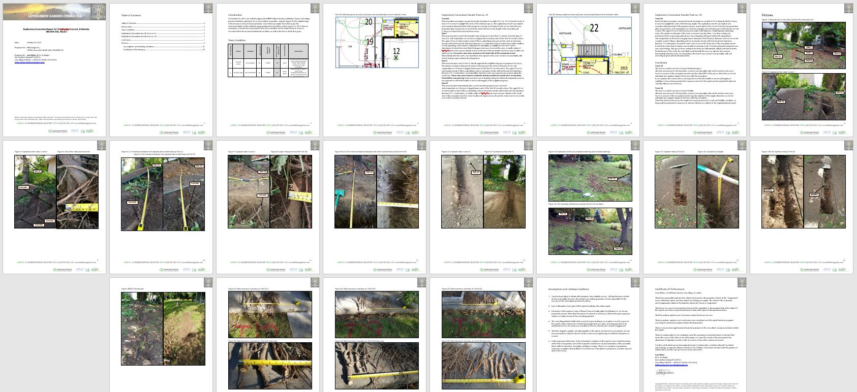 Tree Protection Plans and 3D images | landscape-designer