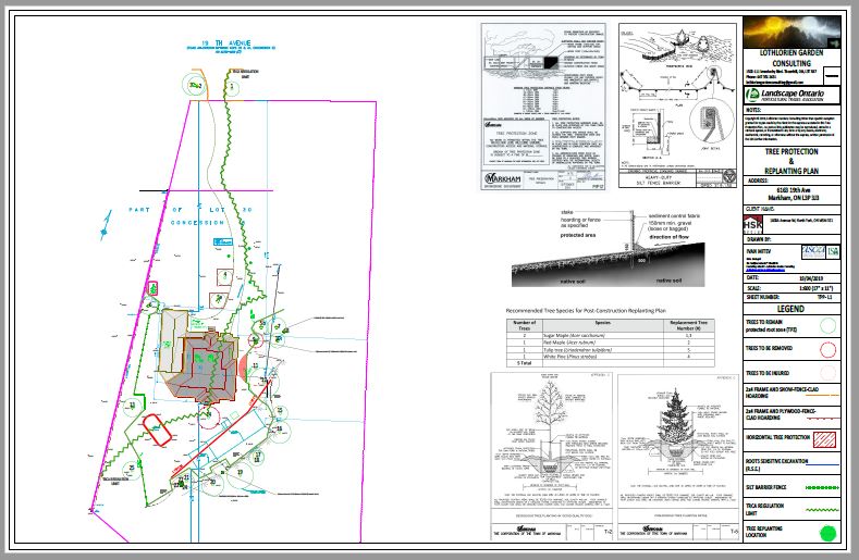 Tree Protection Plans and 3D images | landscape-designer