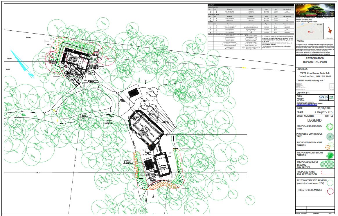 Tree Protection Plans and 3D images | landscape-designer