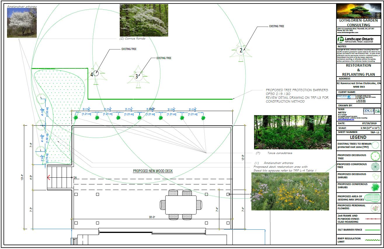 Tree Protection Plans and 3D images | landscape-designer