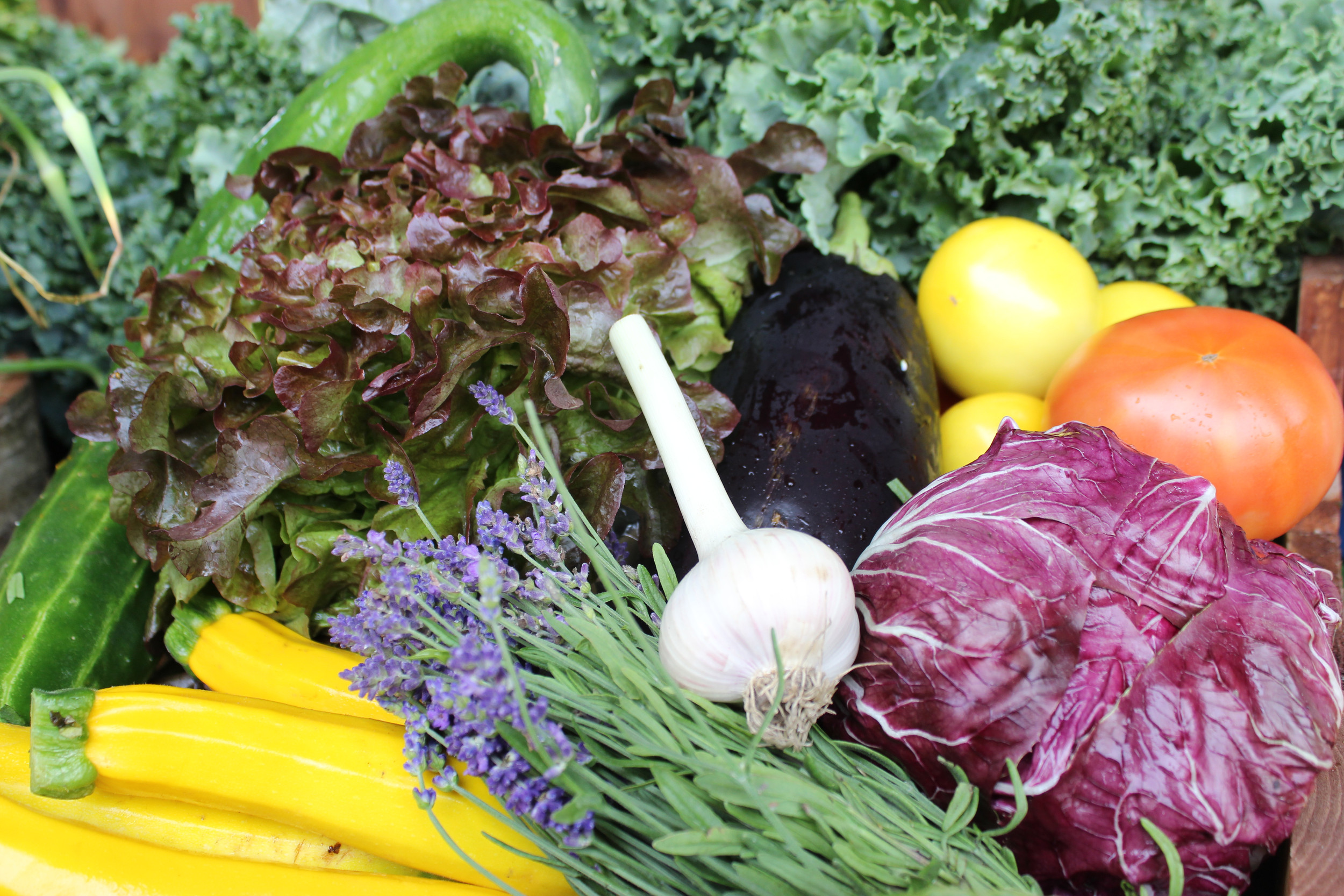 Produits | Ferme la Bourrasque