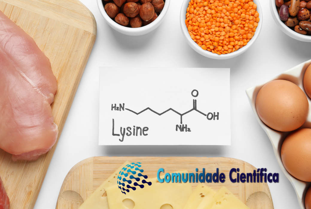 Lisina - Aminoácido Essencial