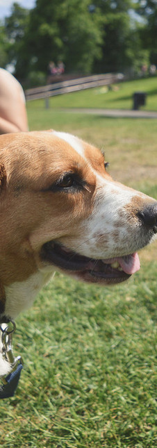 Rho Law Group, P.C. - Los Angeles Personal Injury Accident Lawyer ...