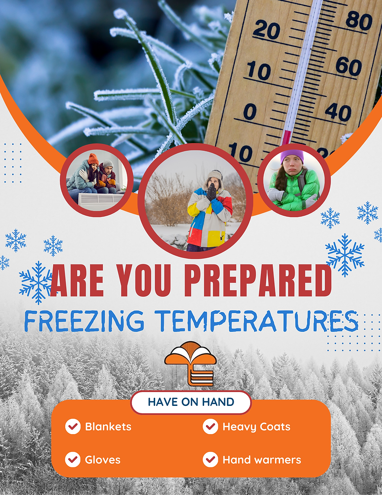 ️FREEZING TEMPERATURES ️