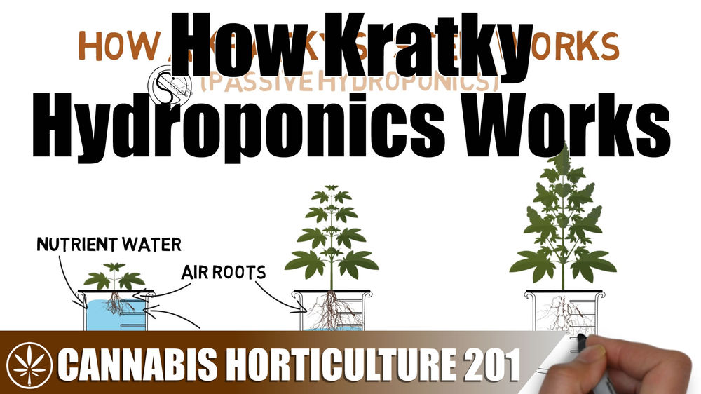 How A Kratky Passive Hydroponic System Works