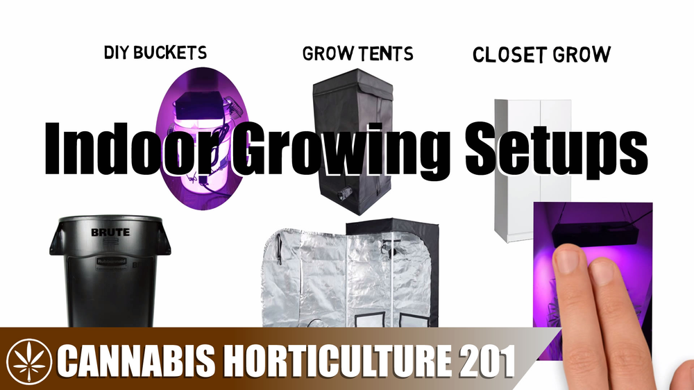 What Indoor Grow Setup Is Right For You?