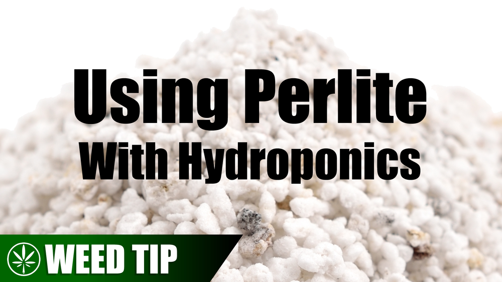 Using Perlite As A Hydroponic Grow Medium