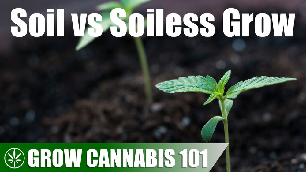 Comparing Soil with a Soilless Timelapse Grow
