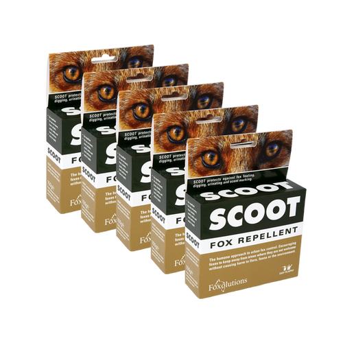 Scoot Multipack | The Fox Shop