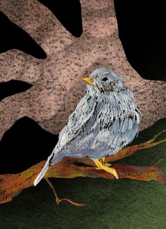 Home | Sydney World Film Festival