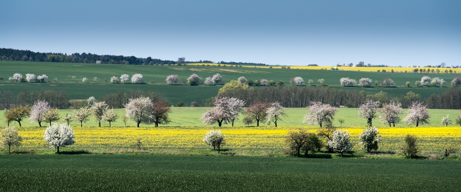 Fotografie | alt-galow