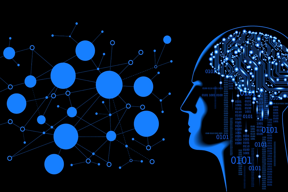 Unraveling the Brain-Education Connection: The Crucial Role of ...