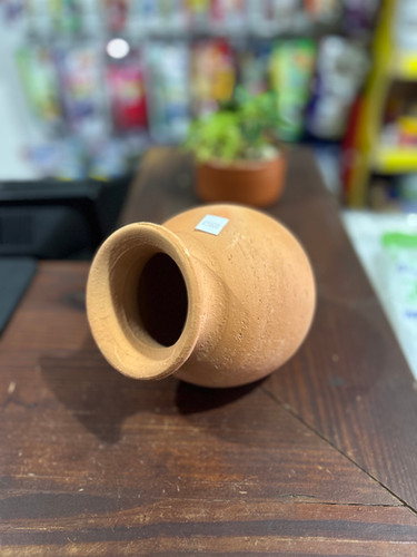 Vasija mediana 2 | Mundo Acuático C.R