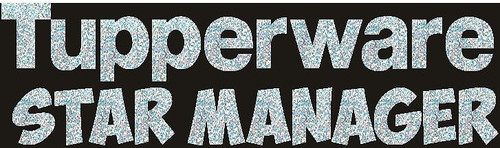 Tupperware Star Manager Iron On | TOTL Store