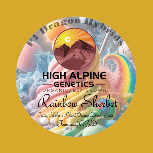 Rainbow Sherbet – Graines de CBD | High Alpine Genetics | Siddhartha Seeds