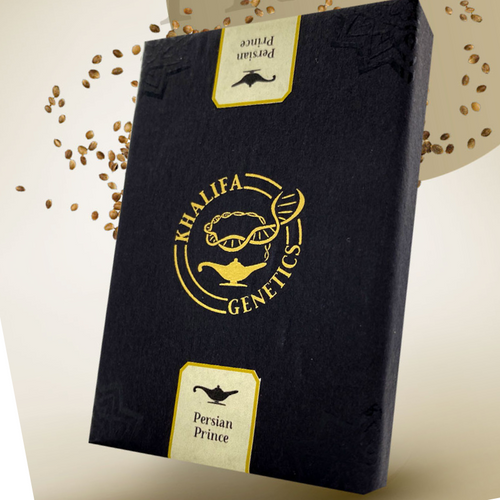 Persian Prince par Khalifa Genetics - Variété Féminisée | Siddhartha Seeds