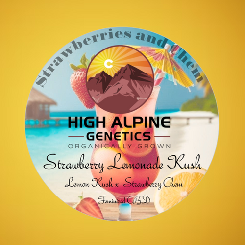 Strawberry Lemonade Kush – Graines de CBD | High Alpine Genetics ...