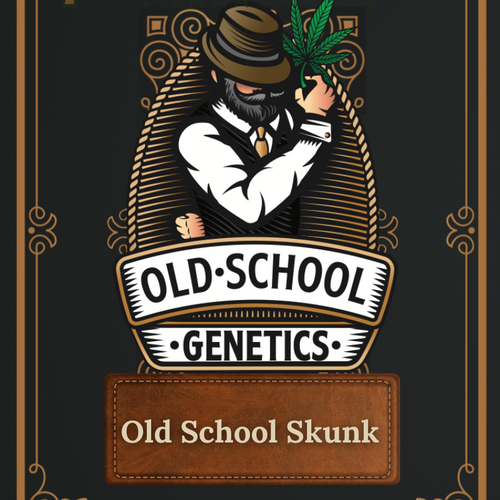 Old School Skunk (Reg) - Pack x24 | Old School Genetics | Siddhartha Seeds