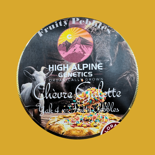Chèvre Galette – Graines de CBD | High Alpine Genetics | Siddhartha Seeds