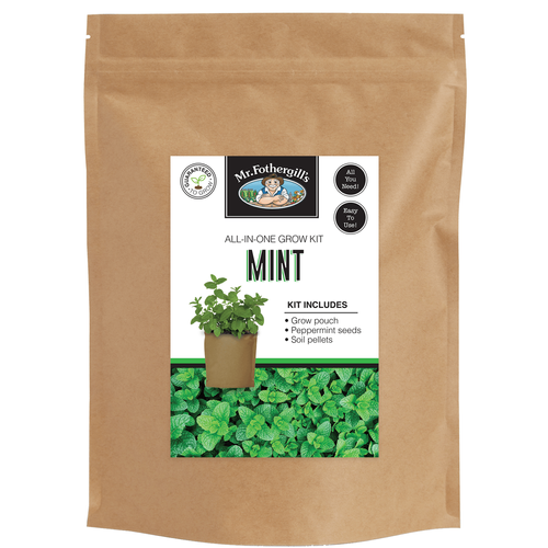DIY Mint Seed Kit | My Seeds
