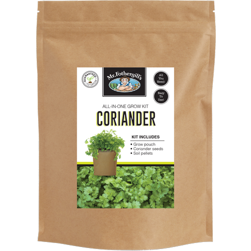 Coriander Seed Kit | My Seeds