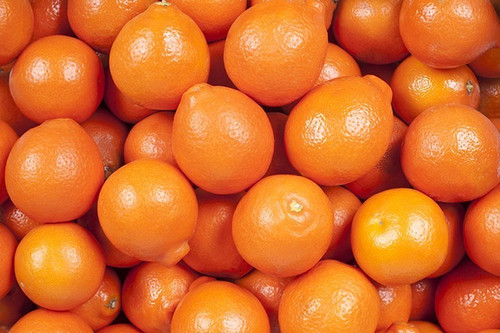 ORGANIC TANGELO SEEDS | My Seeds