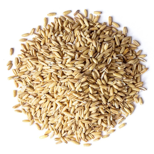 Organic Oat Seeds | My Seeds