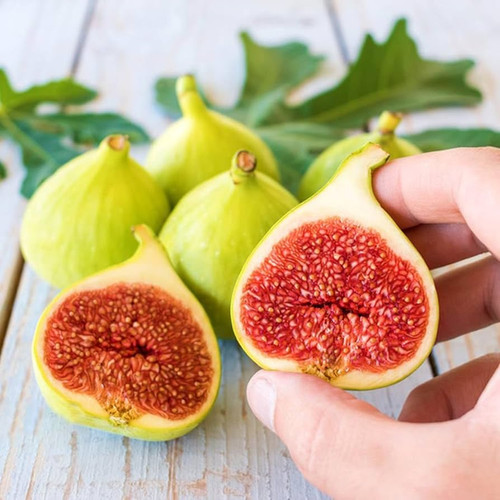 White Fig Tree Seeds | My Seeds