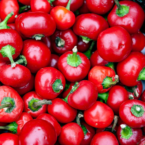 CHILLI Red Cherry Hot 10 Seeds MILD HOT chile BOMB CHILLI Pepper EASY ...