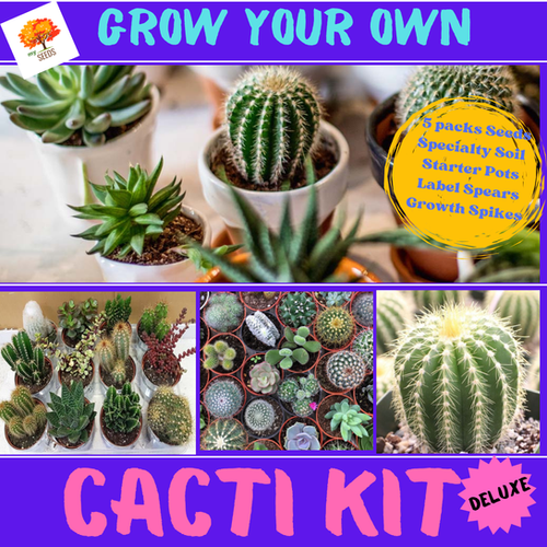 DELUXE CACTUS Starter Kit - Seeds ~Soil~ Pots ~ Growth Spikes ~ Spears ...