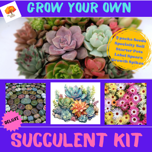 DELUXE SUCCULENT Starter Kit - Seeds ~Soil~ Pots ~ Growth Spikes ...