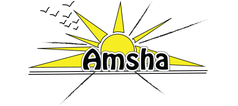 AMSHA Foundation | Christian Scholarship Fund for African Students