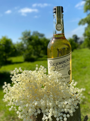 Elderflower Cordial 500ml | Richmount Cordial
