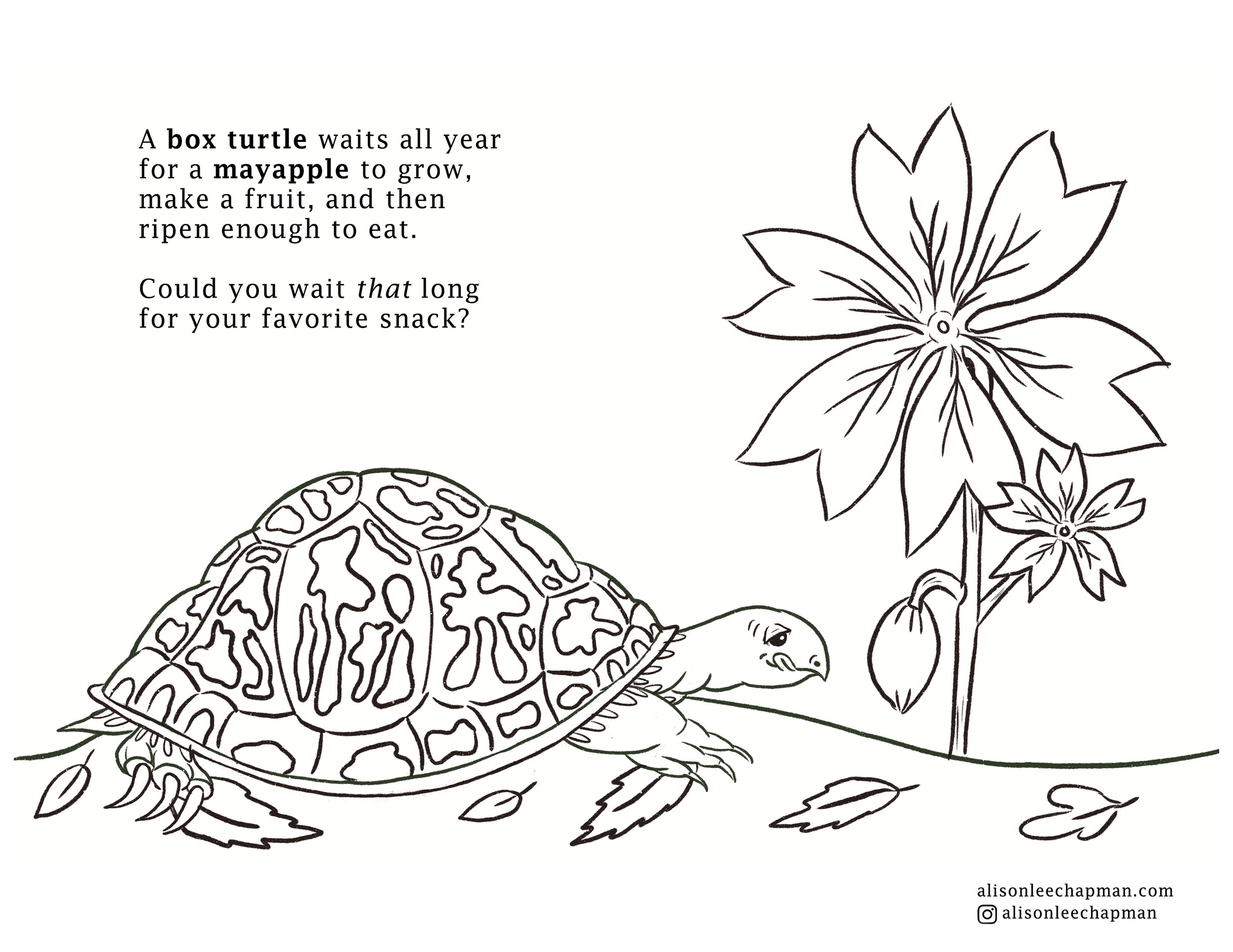 Coloring Pages! | Alison Lee Chapman