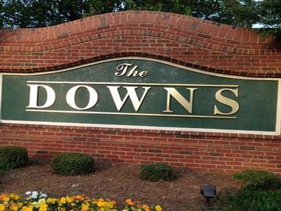 The Downs