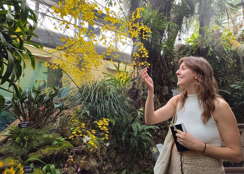 2026 Eco-Resolutions: Healthy, Sustainable Living in the DMV