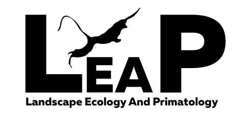 Matthew Nowak | LEAP