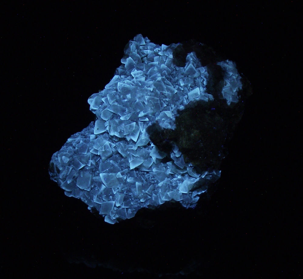 Fluorescent calcite, from the Canal dump (Montrose occurrence), Niagara ...