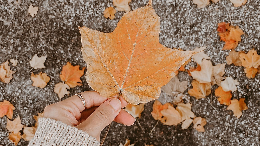 Embrace the Magic of Fall: 10 Enchanting Autumn Rituals to Slow Down