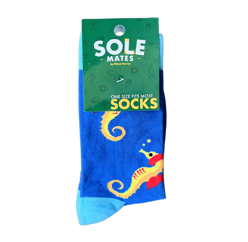Seahorse Socks | One and All Shop