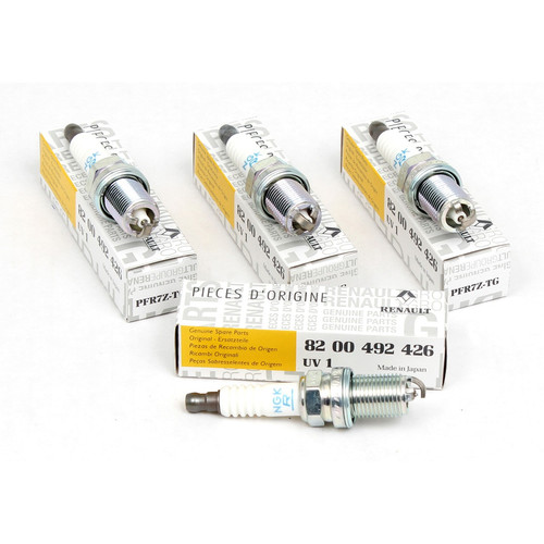 Renault OE Spark Plugs | Renomotive