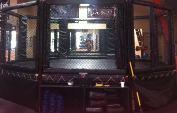 Octagon MMA Cage | United States | Rings and Cages
