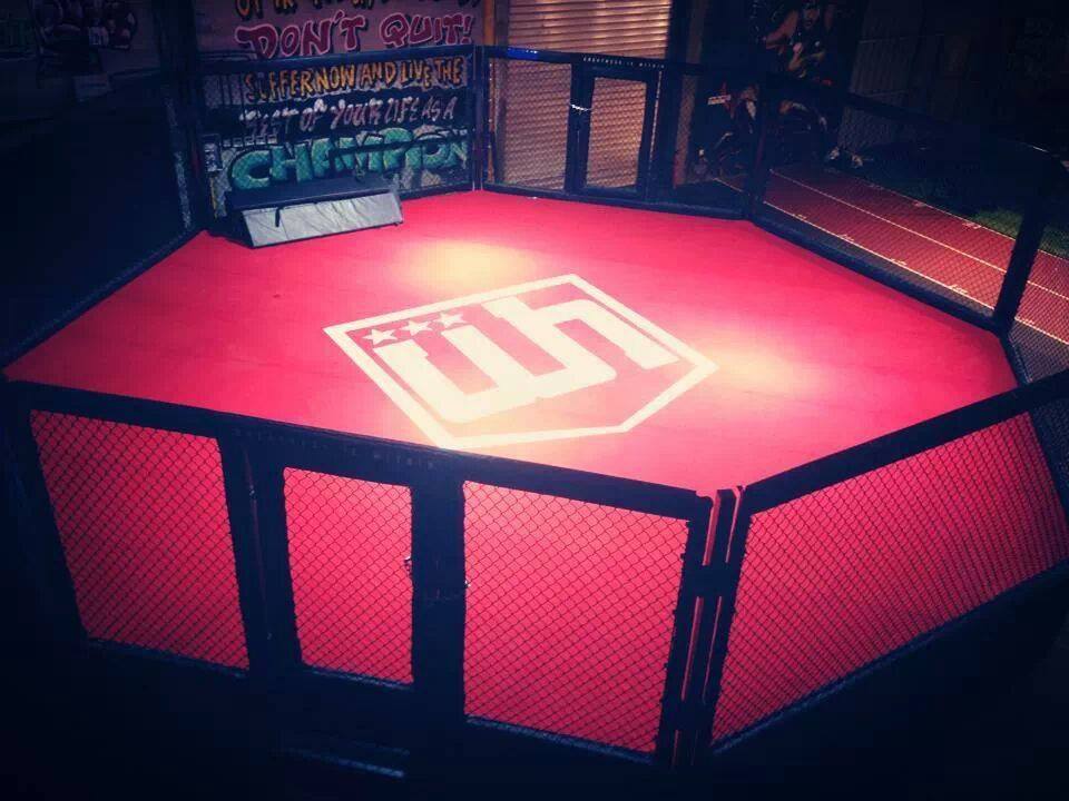 Octagon MMA Cage | United States | Rings and Cages