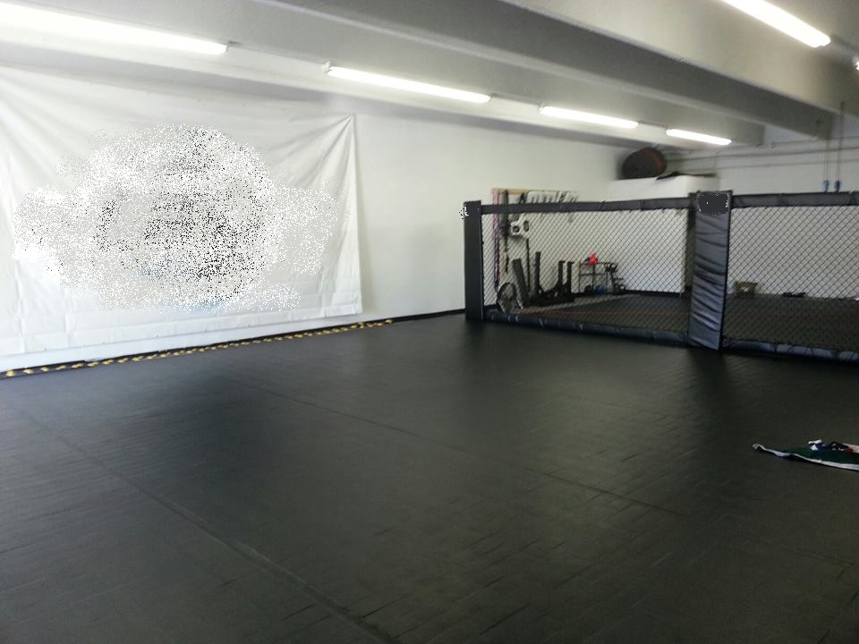 MMA Cage Panels | United States | Rings and Cages