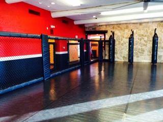 MMA Cage Panels | United States | Rings and Cages